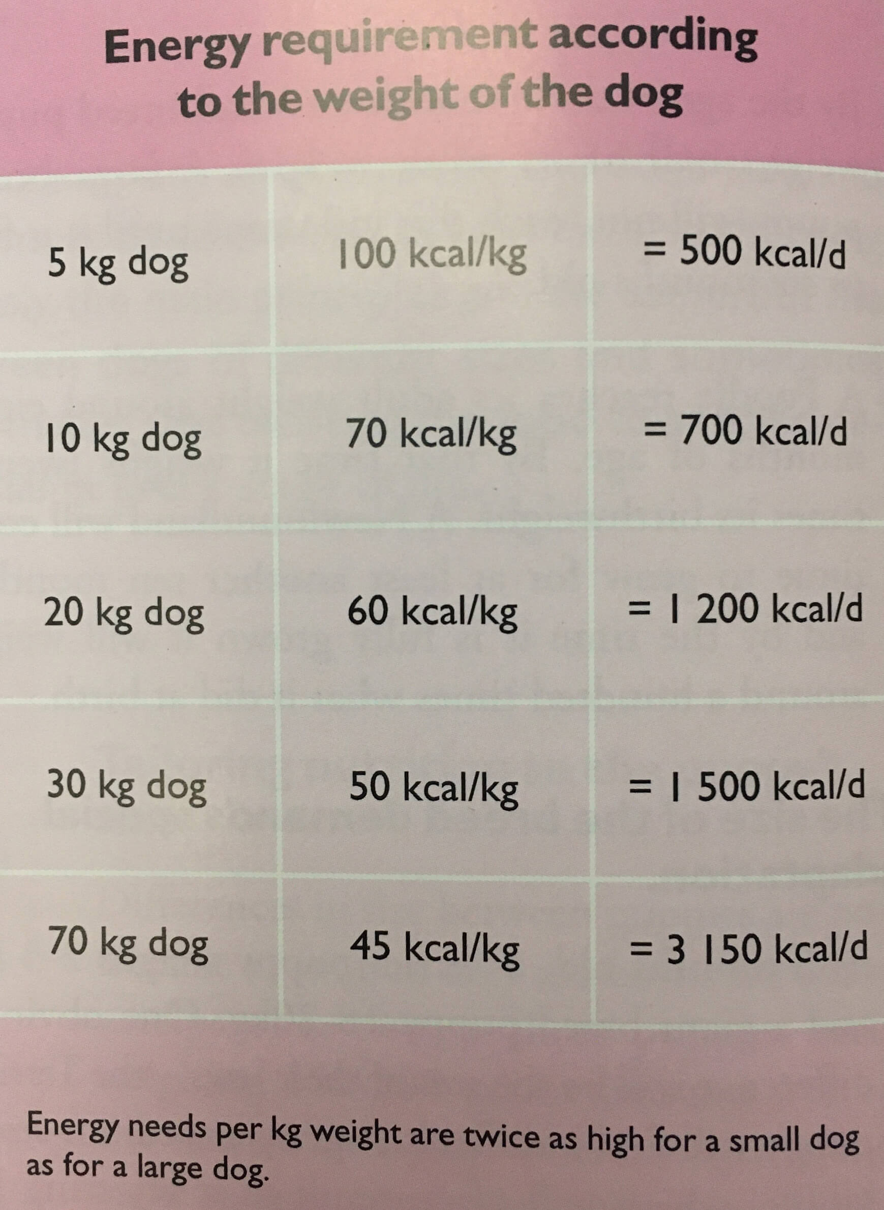 How Much Should I Feed My Dog and How Often? - Dogo