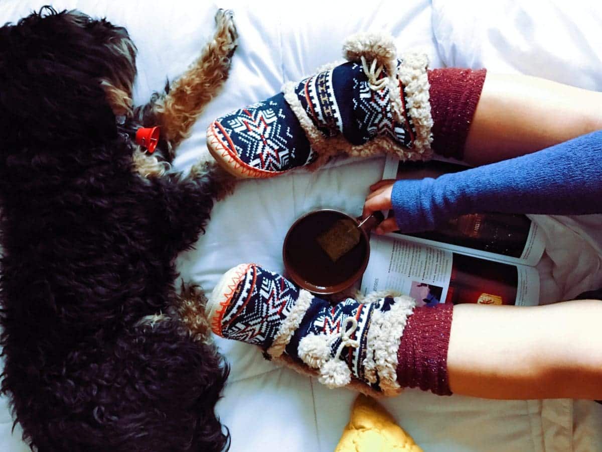 Where to donate dog food near me? - Dogo